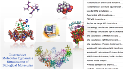 Interactive Molecular Dynamics Simulations